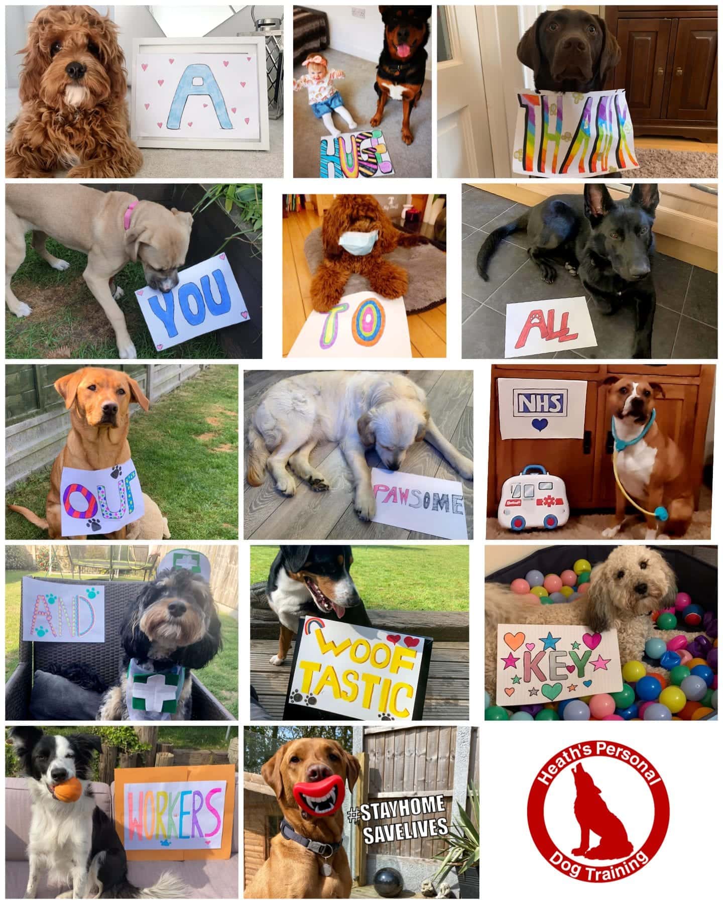 Thank You NHS & Key Workers » Heath's Personal Dog Training in Essex ...