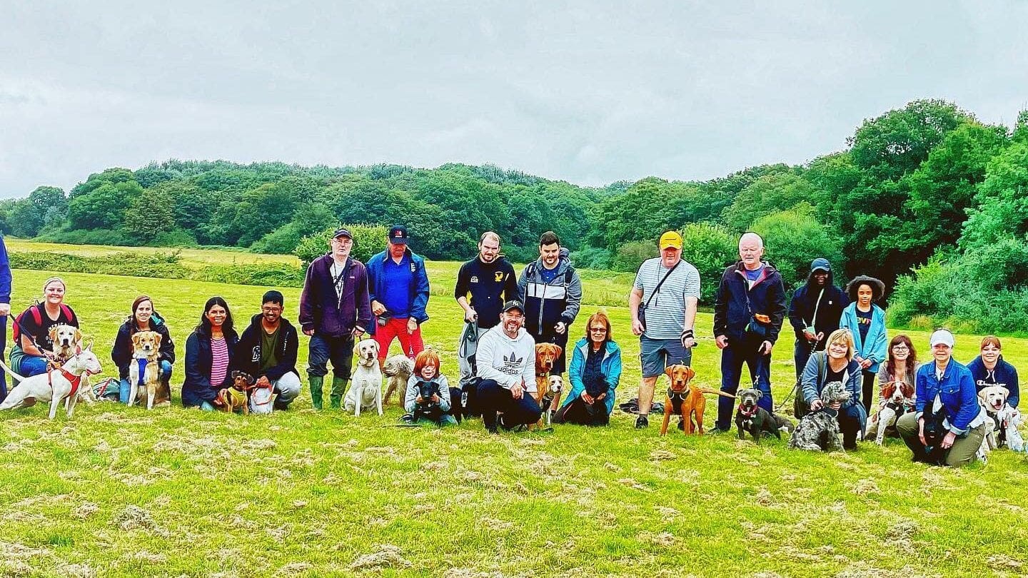 HPDT December Social Walk | Heath's Personal Dog Training in Essex ...