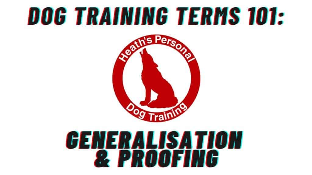 Understanding Generalising & Proofing in Dog Training