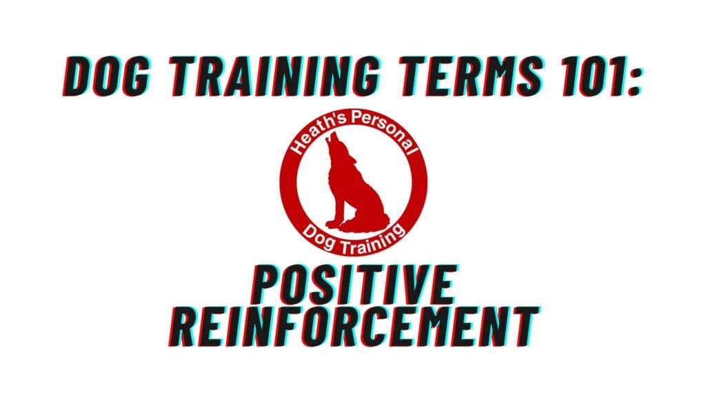 Positive Reinforcement » Heath's Personal Dog Training in Essex ...