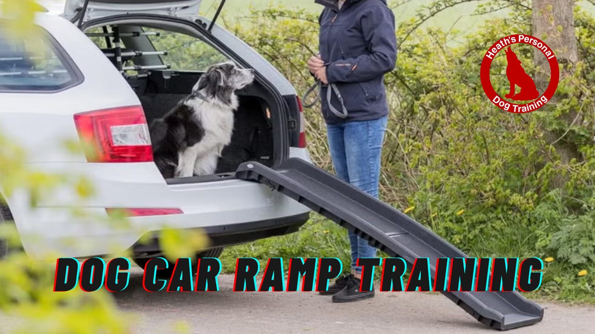 Dog Car Ramp Training (Step-by-Step) | HPDT