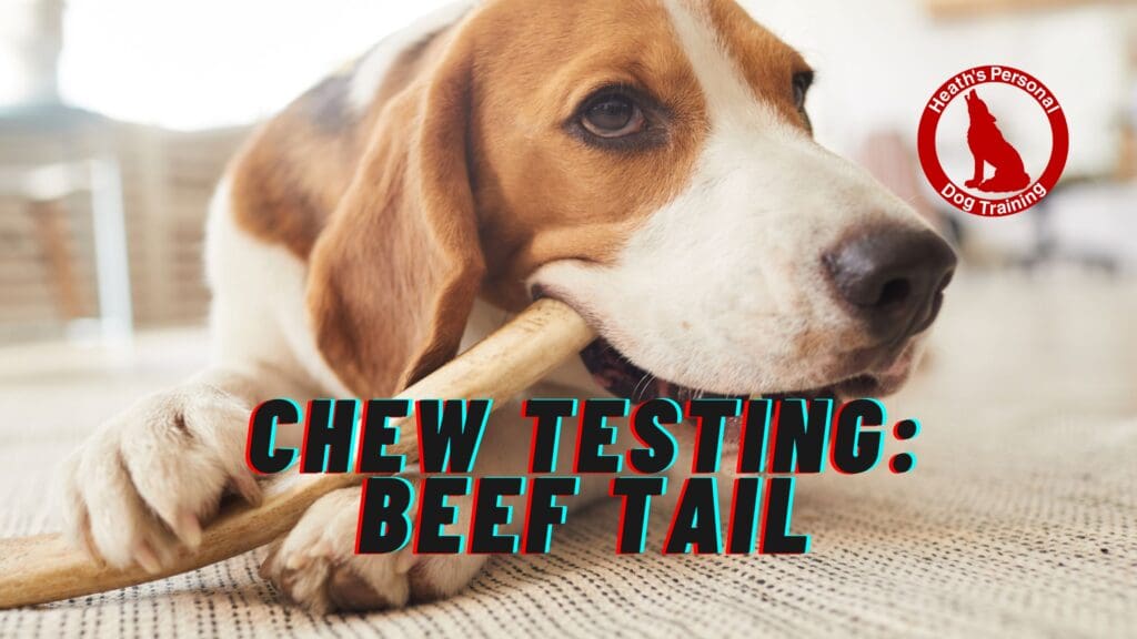 Chew Testing: Beef Tail » Heath's Personal Dog Training in Essex ...