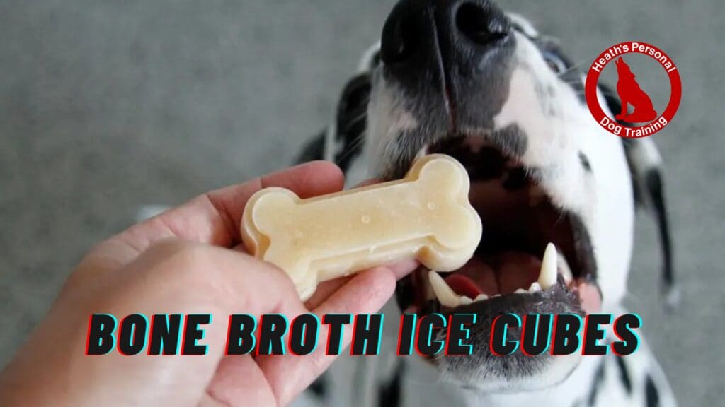 Bone Broth Ice Cubes » Heath's Personal Dog Training in Essex ...