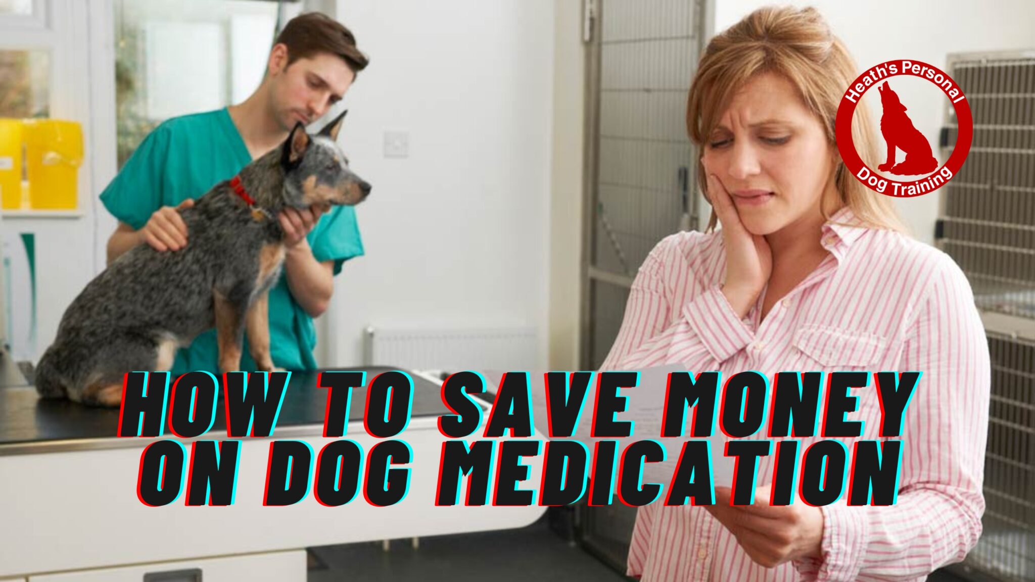How to Save Money on Dog Medication | HPDT