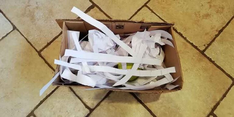 Dog Safety Tips Before Christmas | HPDT