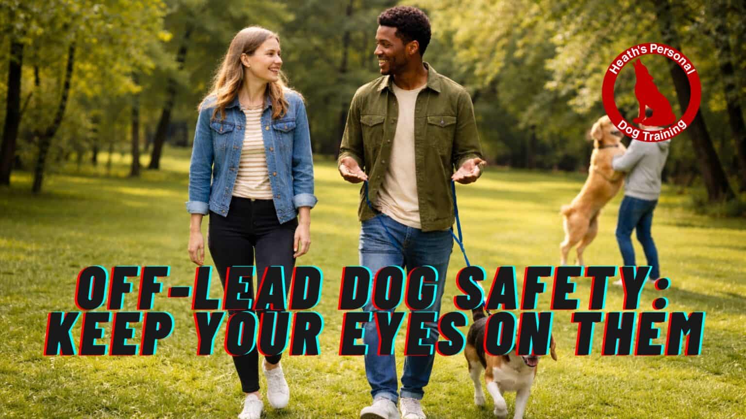 Off-Lead Dog Safety: Keep Your Eyes on Your Dog | HPDT