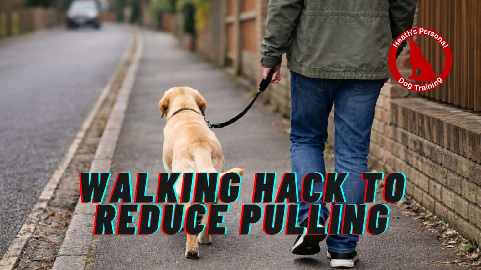 Dog Walking Hack to Reduce Pulling | HPDT